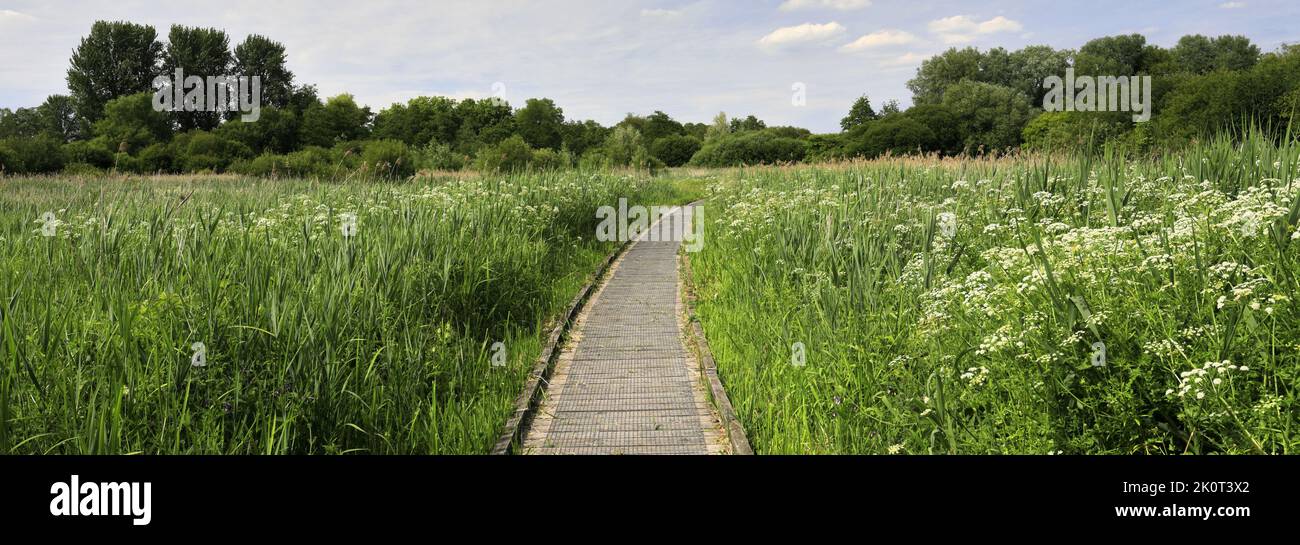 View over the Winnall Moors Nature Reserve, Winchester City, Hampshire ...