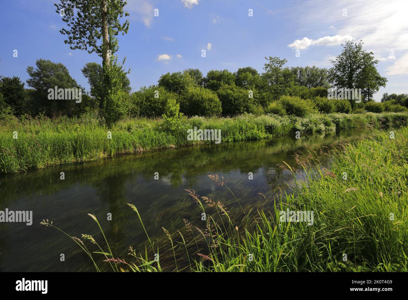 Wildlife attractions winchester hi-res stock photography and images - Alamy
