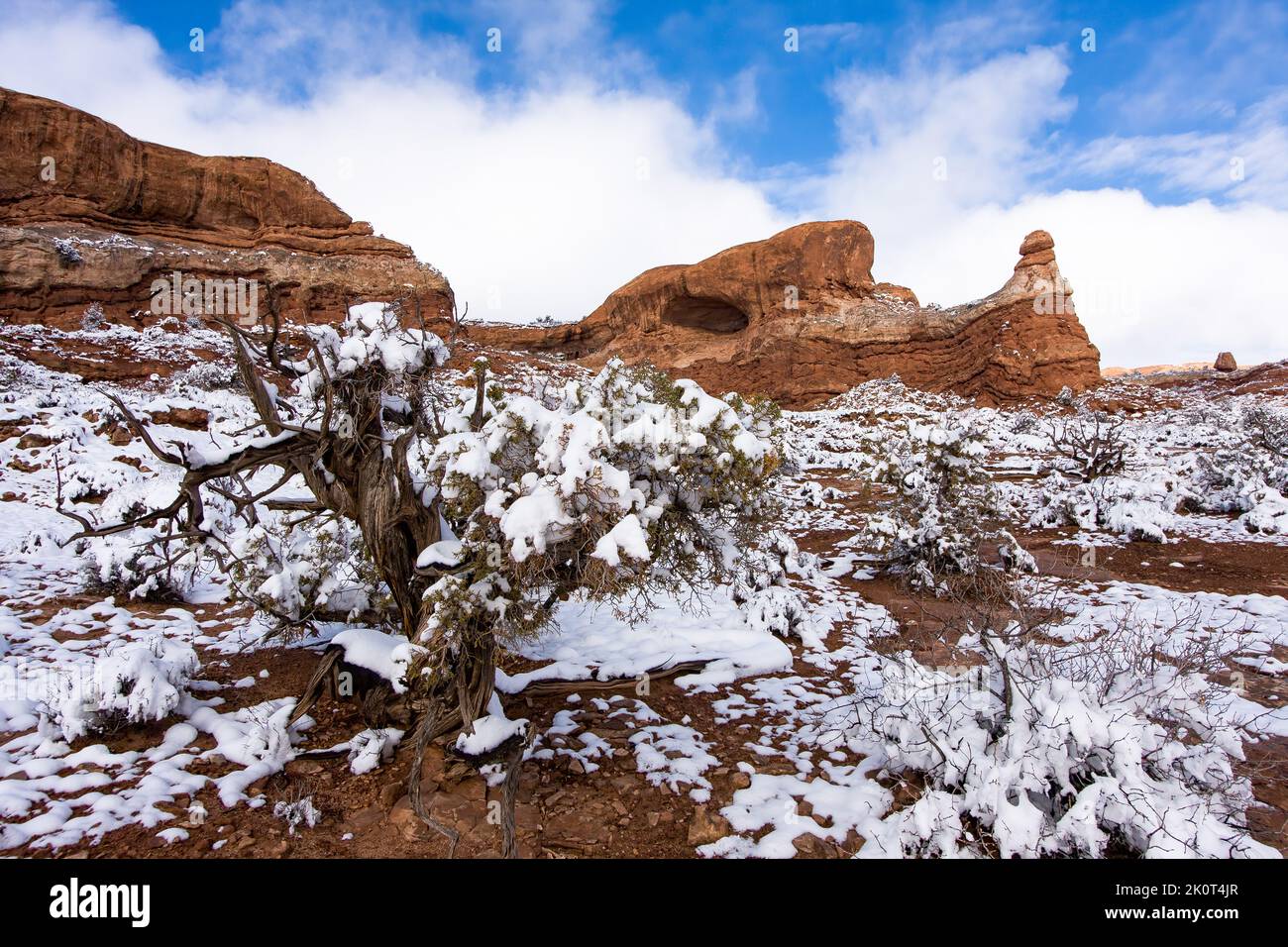 A prehistoric skull-like rock formation with snow in the Spires and ...