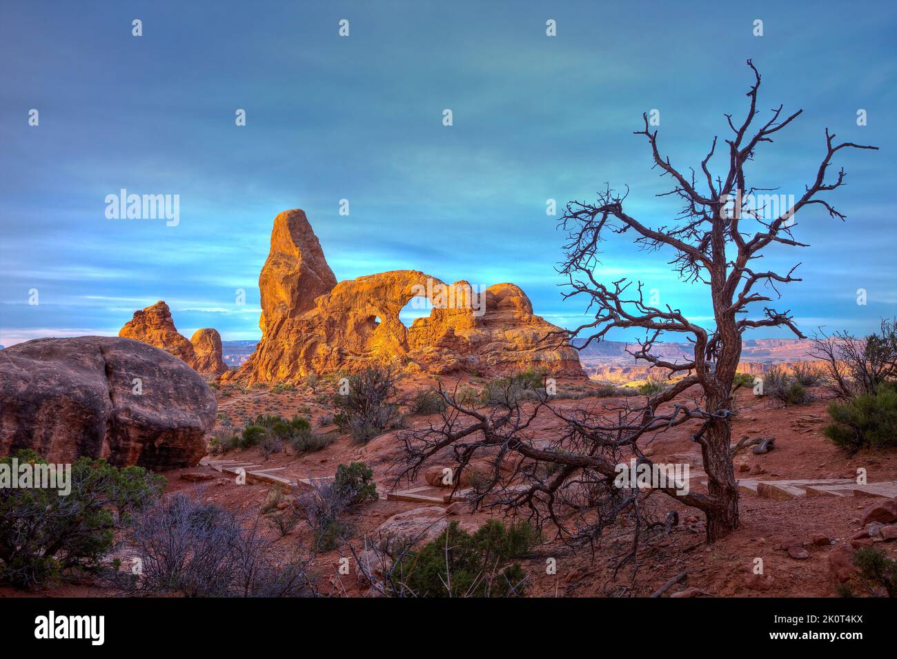 A dead pinyon pine tree in front of Turret Arch at sunrise in the ...