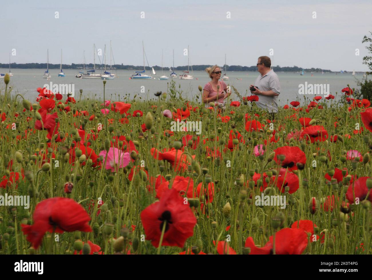 POPPY COMEMEMORATION OF THE CENTENARY OF THE FIRST WORLD WAR AT EASTERN ...