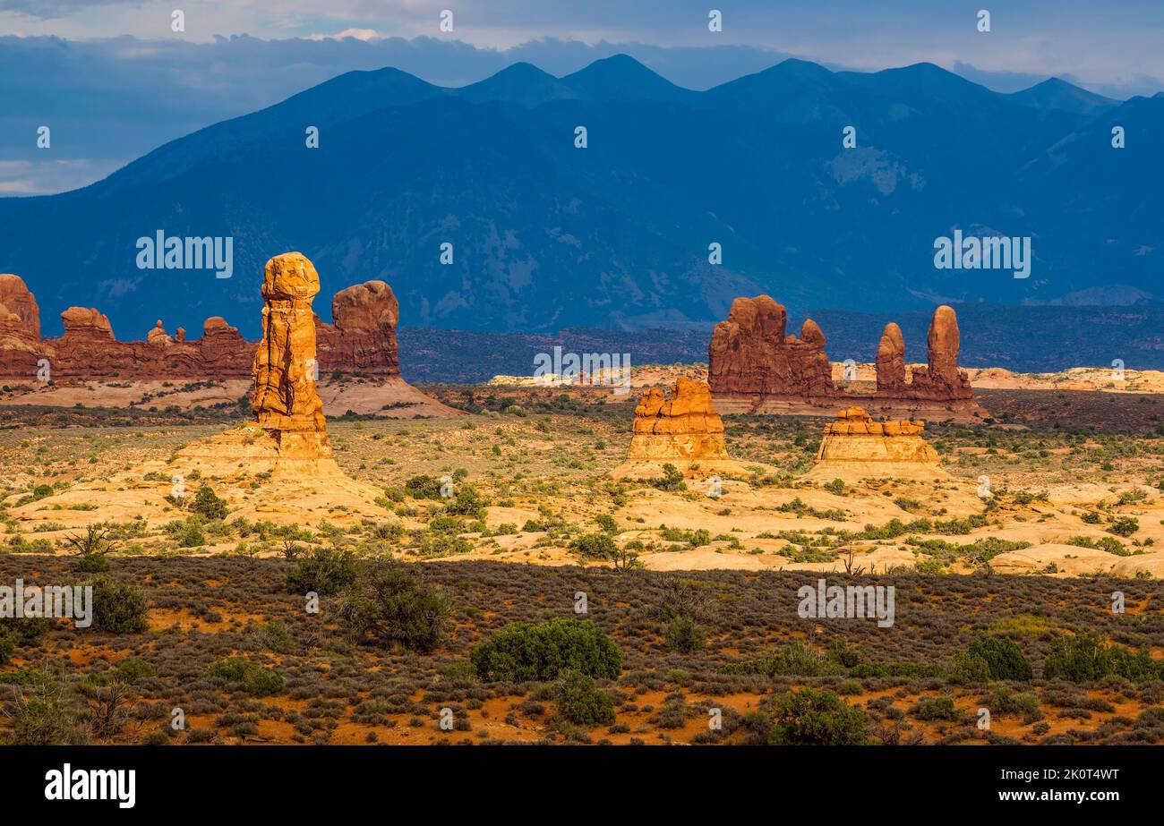 Entrada sandstone rock spires in Arches National Park with the La Sal ...