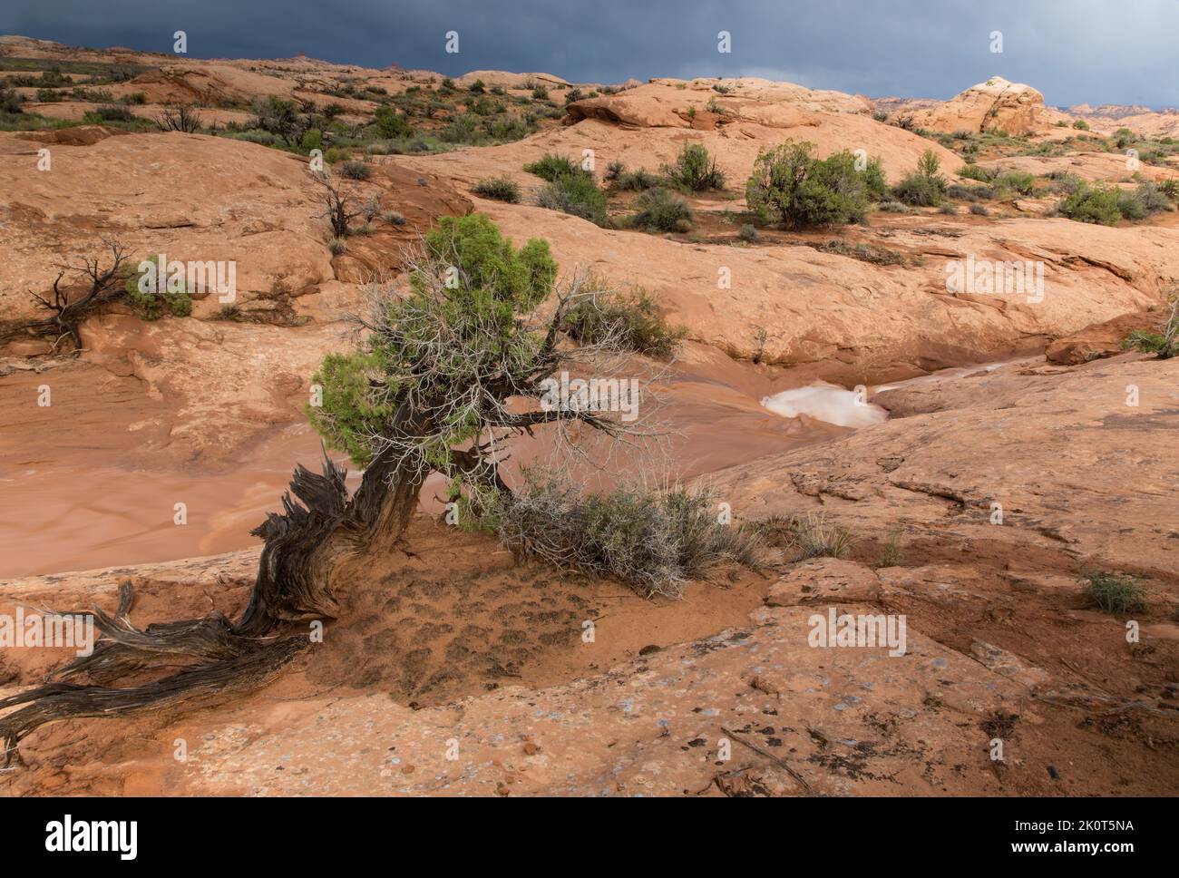 A flash flood in the desert after a heavy rain in Arches National Park ...