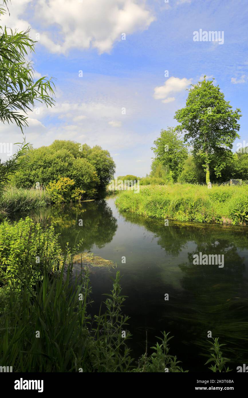 View over the River Itchen in Winnall Moors Nature Reserve, Winchester ...