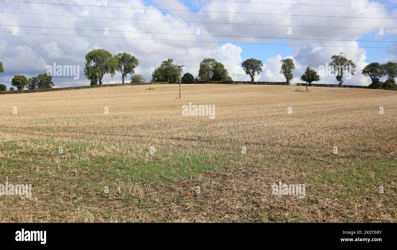 Countryside in the summer Stock Photo - Alamy