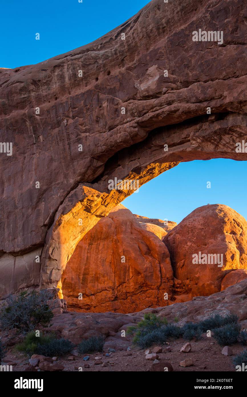 The North Window backlit at sunrise in the Windows Section of Arches ...