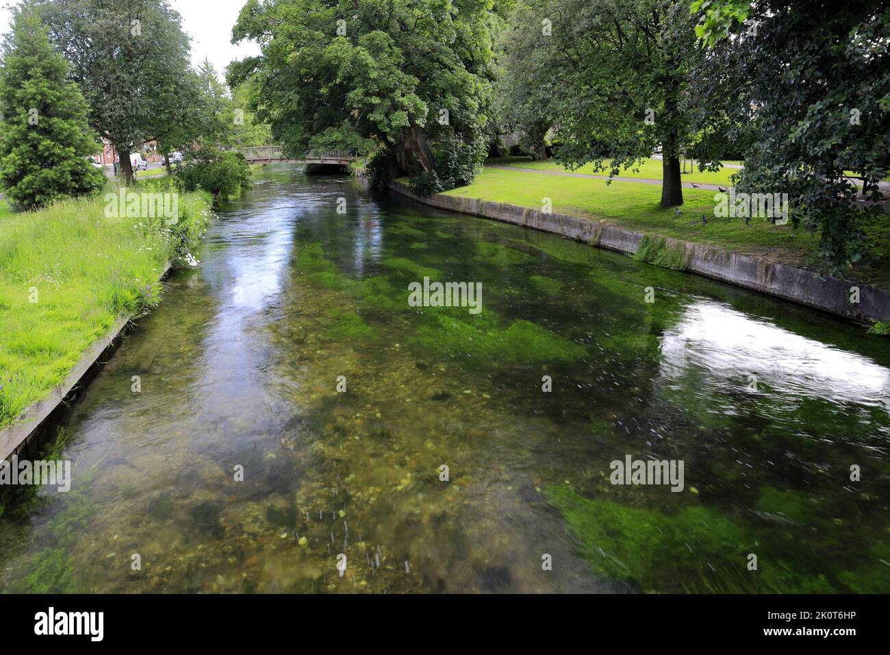 Wildlife attractions winchester hi-res stock photography and images - Alamy