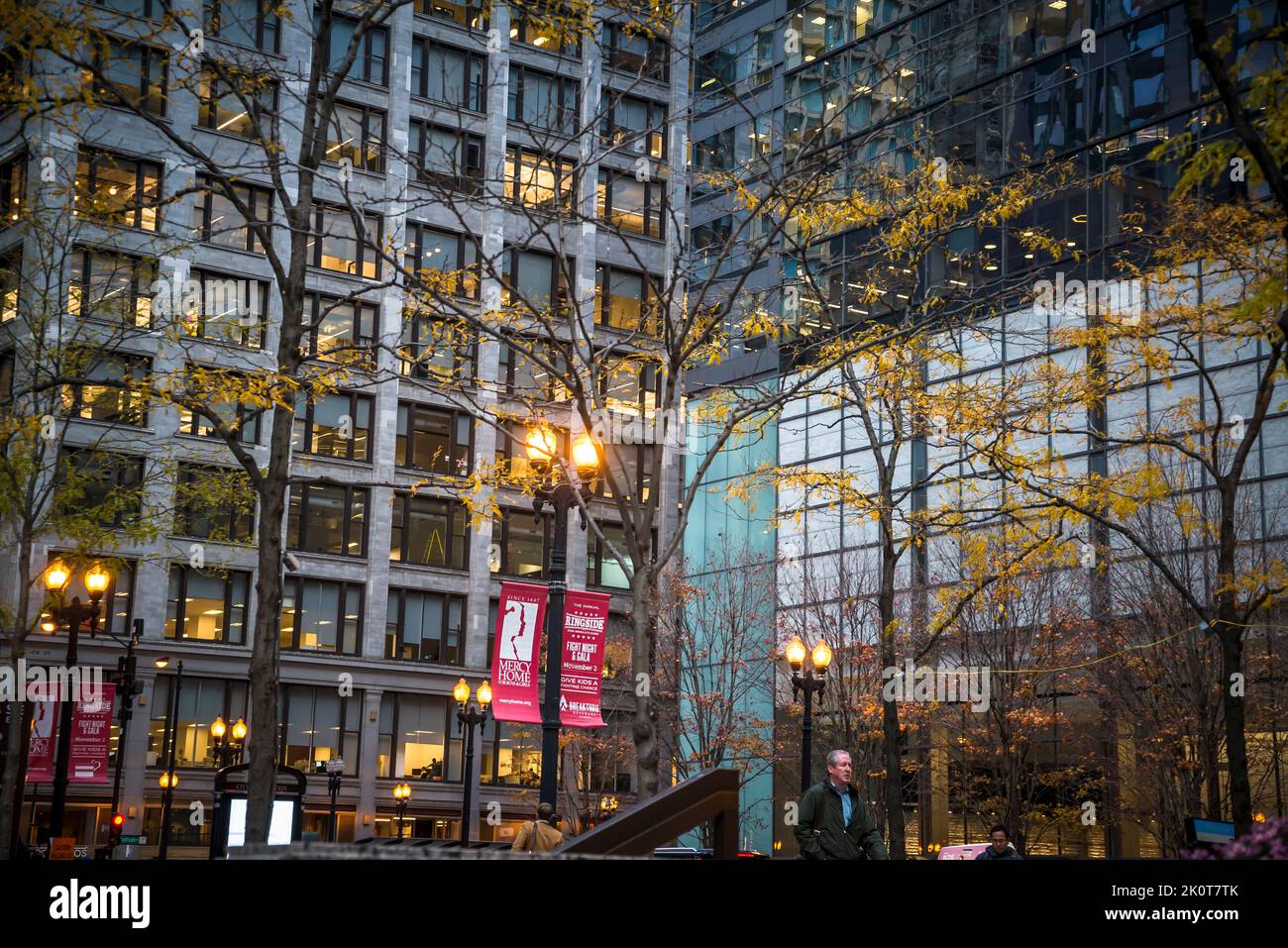 Architectural detail of office building, South Dearborn St, Chicago ...