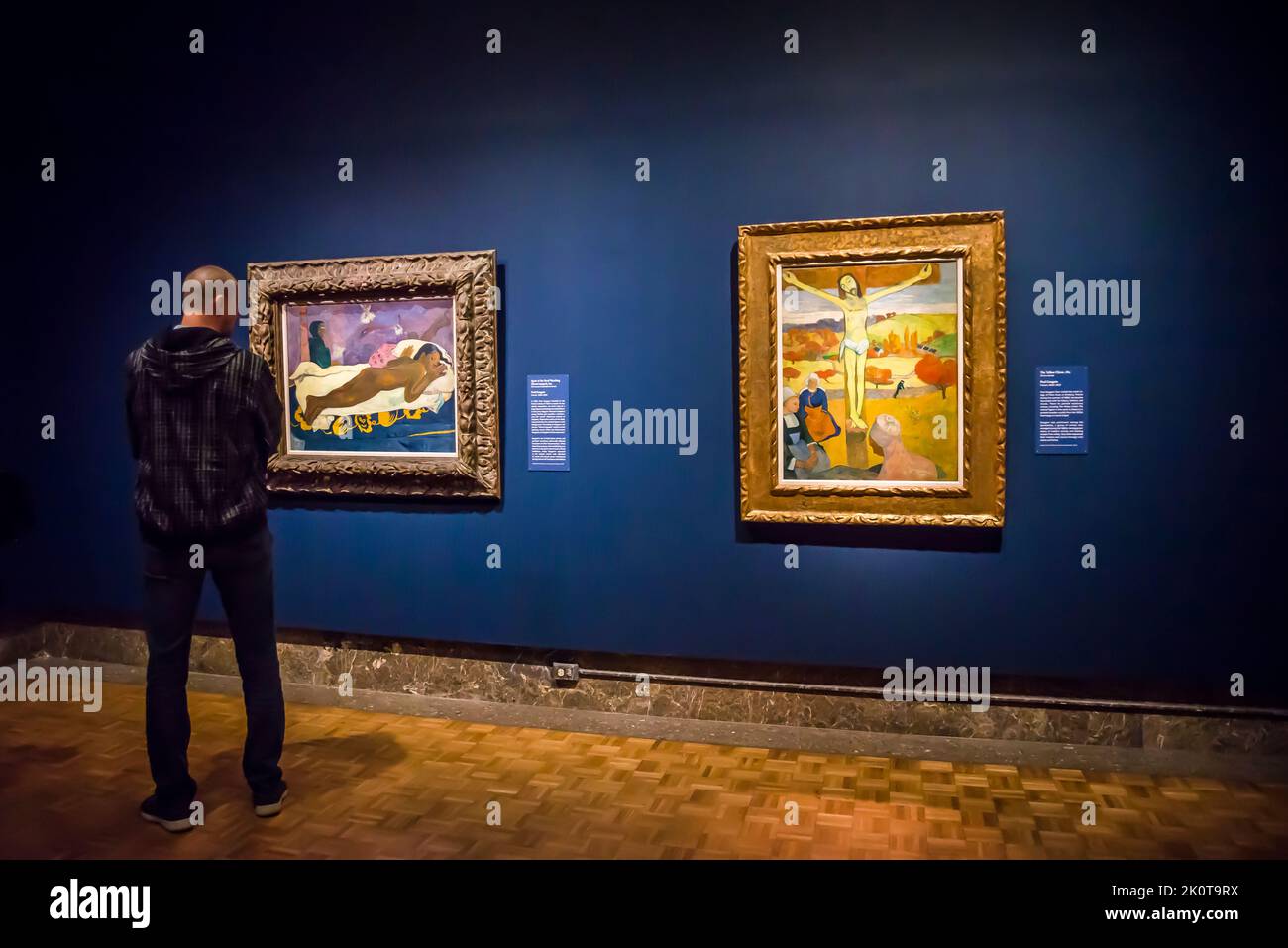 Visitor looking at Paul Gaugin paintings Spirit of the Dead Watching ...