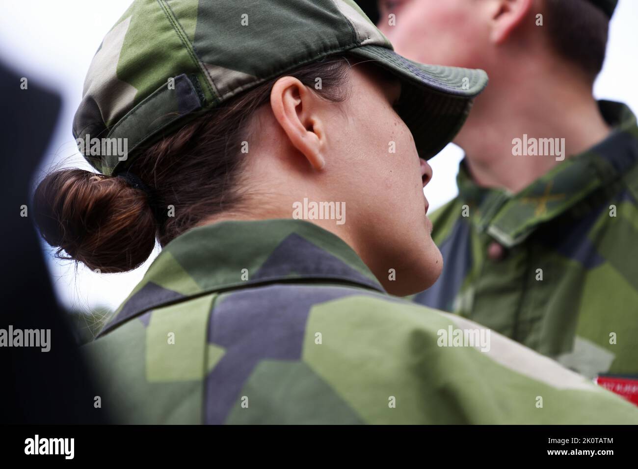 During Saturday, the Life Guard and the Armed Forces in KungsŠngen ...