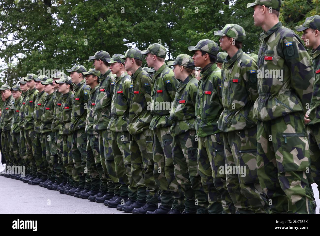 During Saturday, the Life Guard and the Armed Forces in KungsŠngen ...