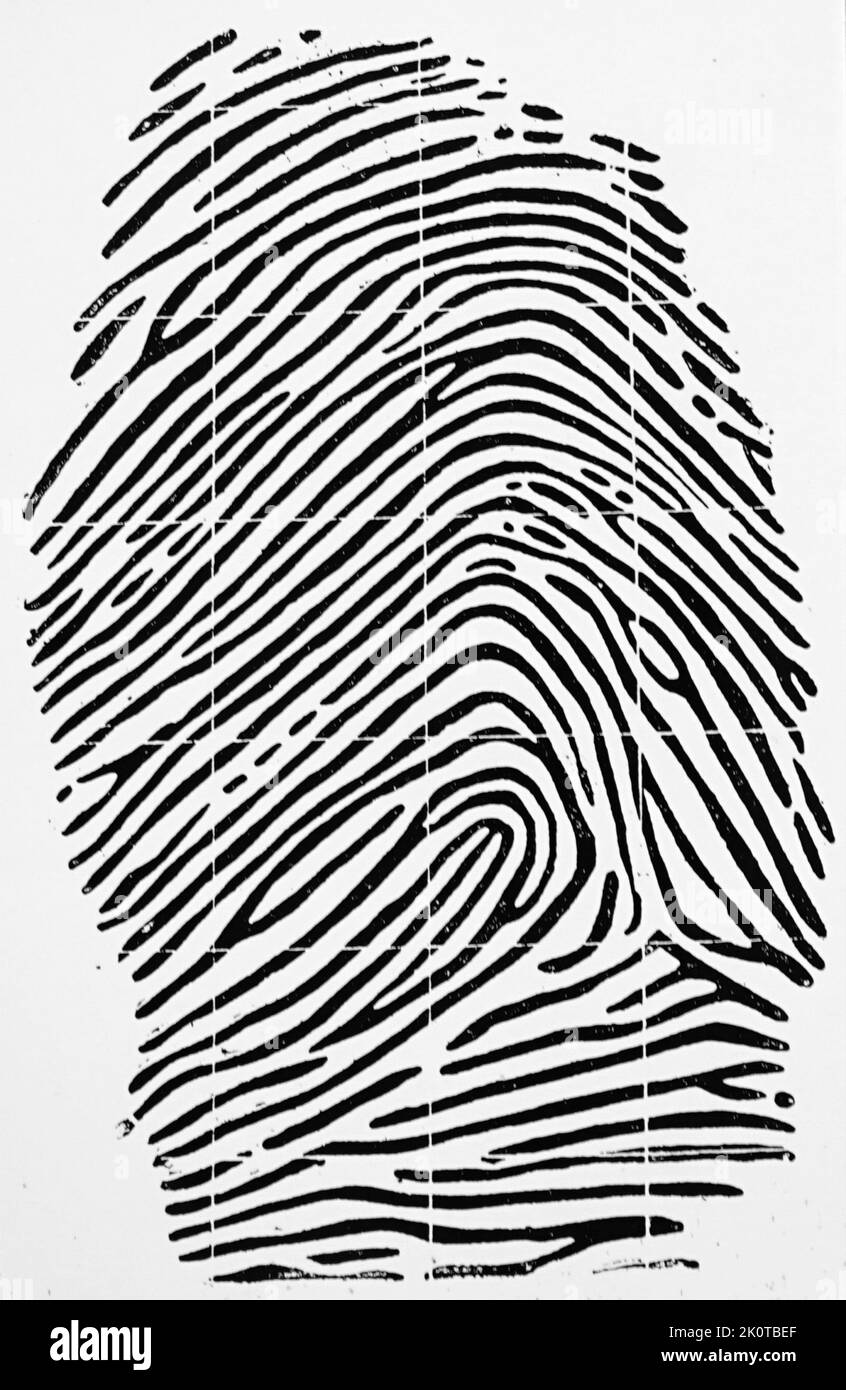 Thumb print with reference grid superimposed, used to identify ...