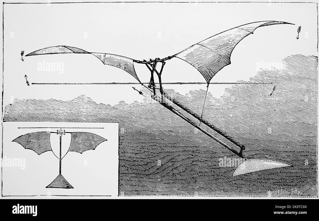 Facts About The Ornithopter at Hector Dwight blog