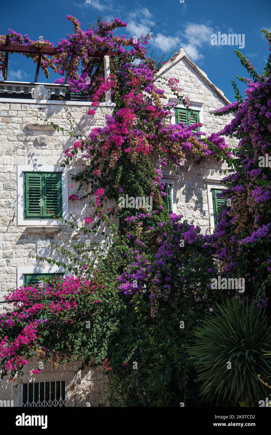 House in Split, Croatia Stock Photo - Alamy
