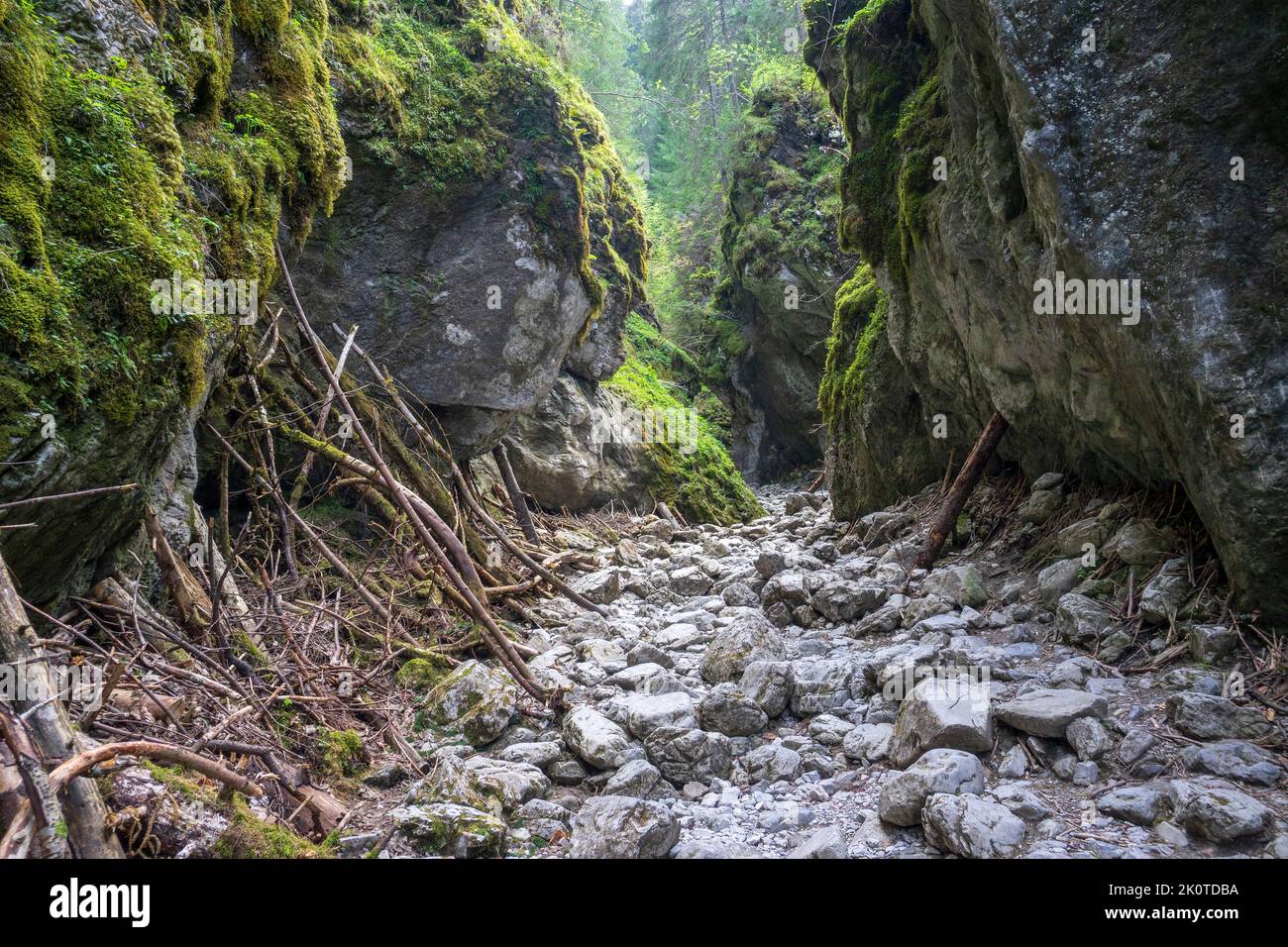 Cracow gorge - the most beautiful rock gorge of Polish Western Tatra ...