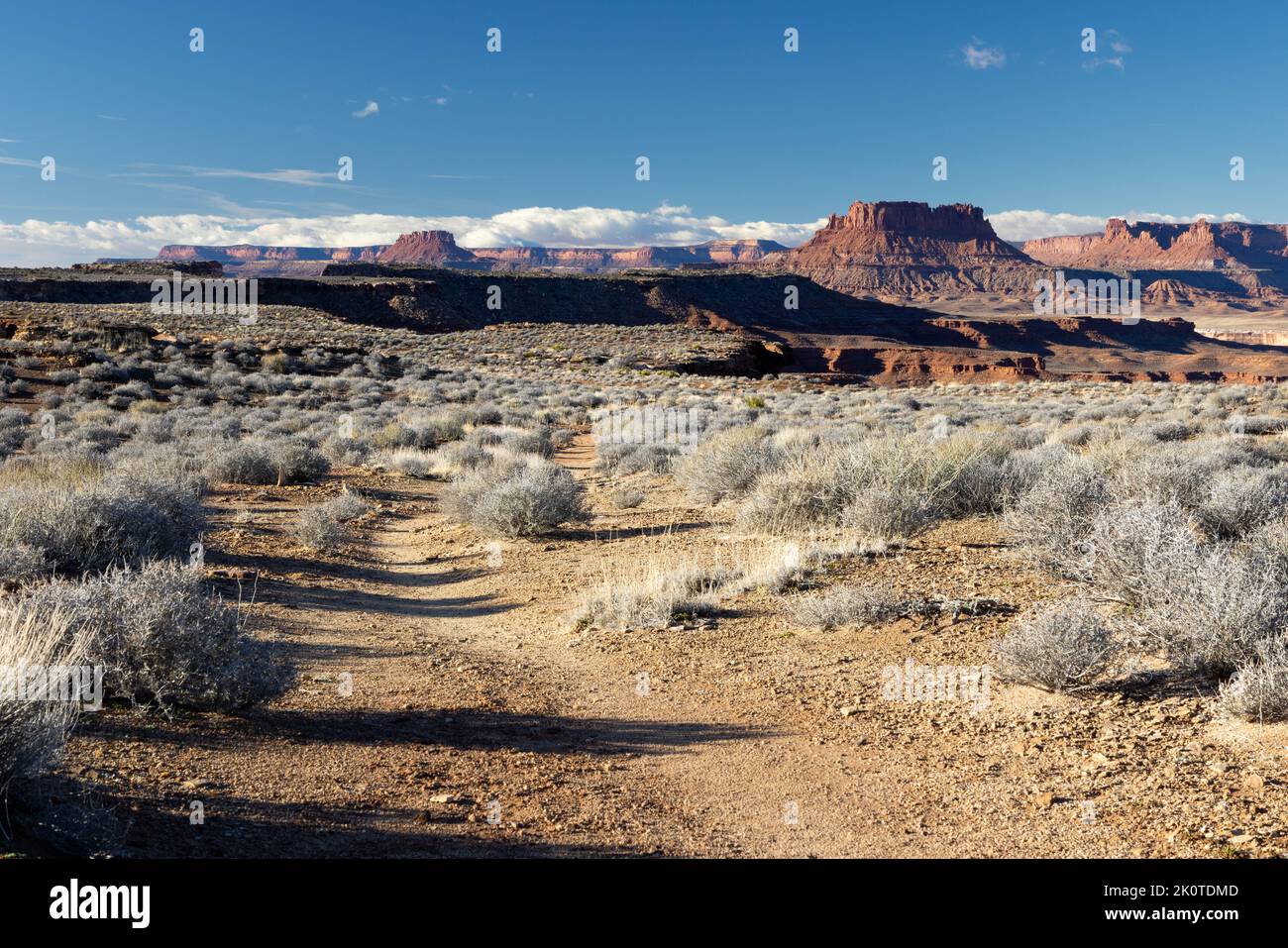 The Murphy Hogback Trail snaking through blackbrush below distant ...