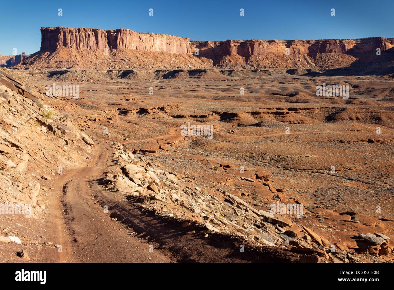The White Rim Road dropping steeply along a cliff as it doubles as the ...