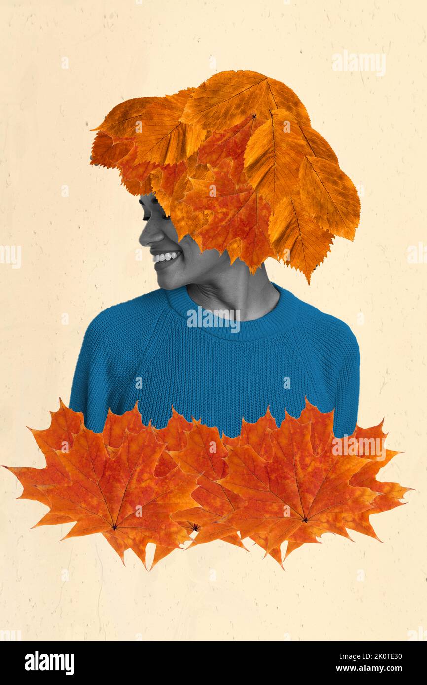 Creative 3d collage artwork poster postcard of pretty cute bright girl ...