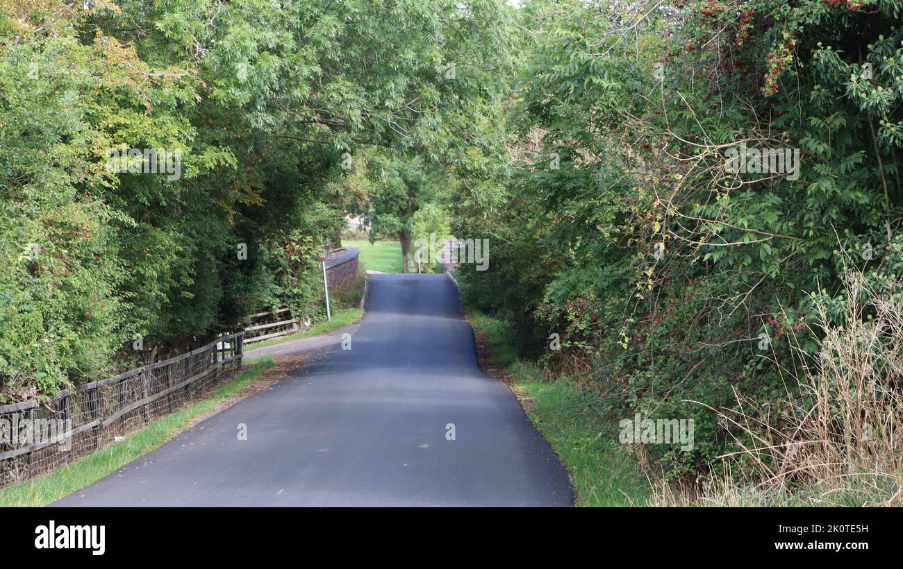 Country bridge in summer Stock Photo - Alamy