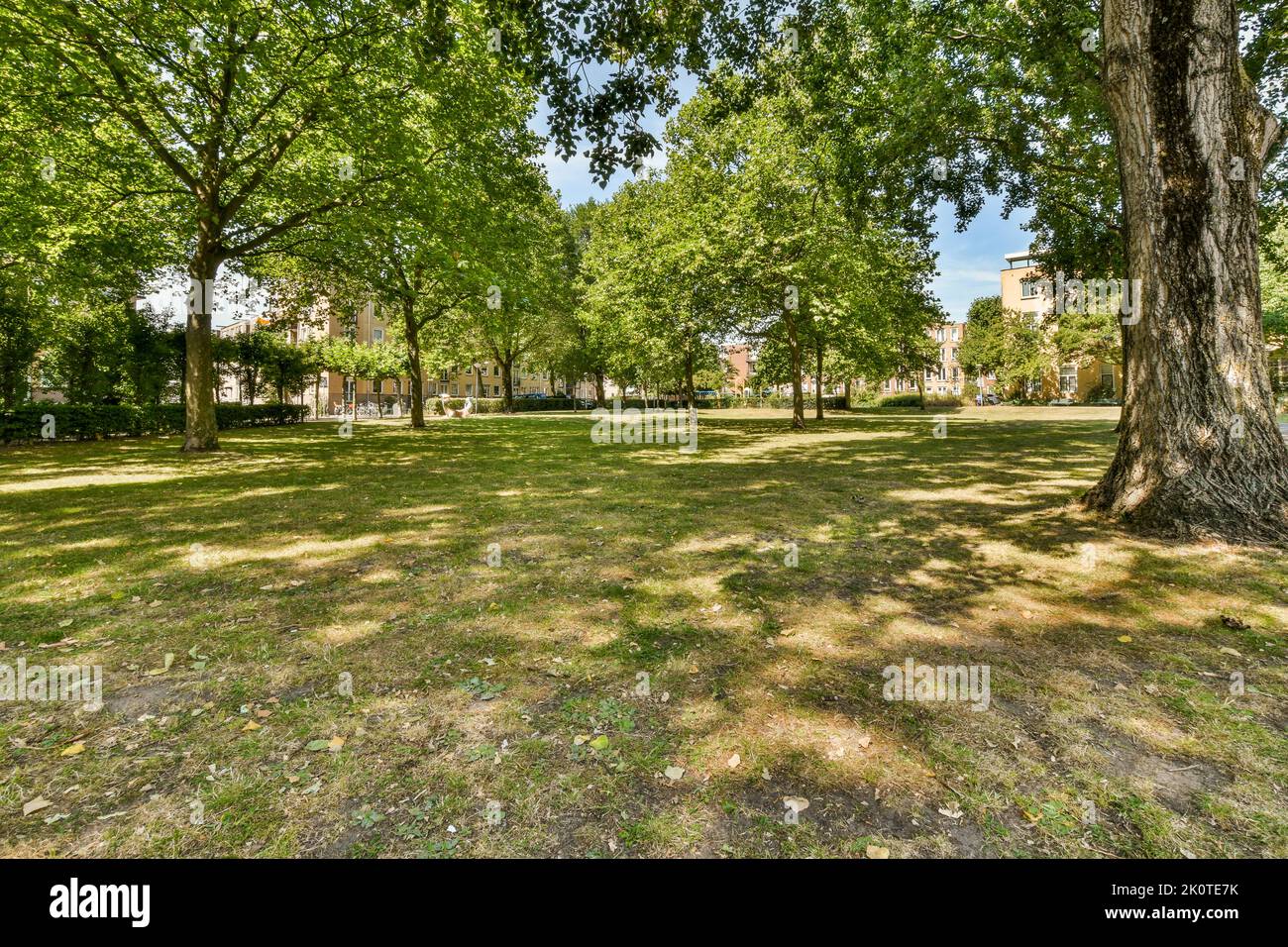 View of street near building with beauty of vegetation outside Stock ...