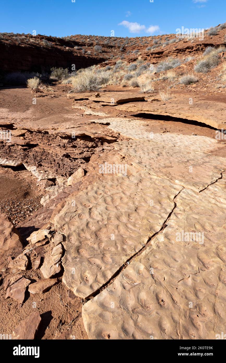 Wavy patterns from ancient water flows marking the white rim sandstone ...