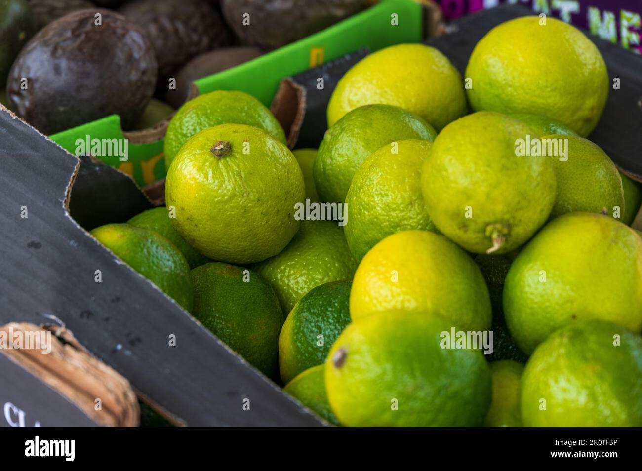 Green lime fruits on market Stock Photo - Alamy