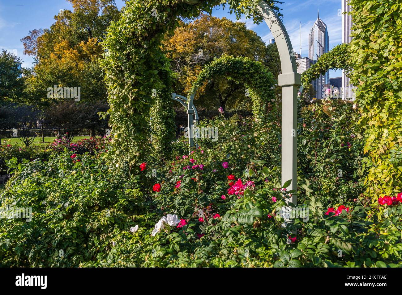 Grant Park Rose Garden, Chicago, Illinois, USA Stock Photo - Alamy