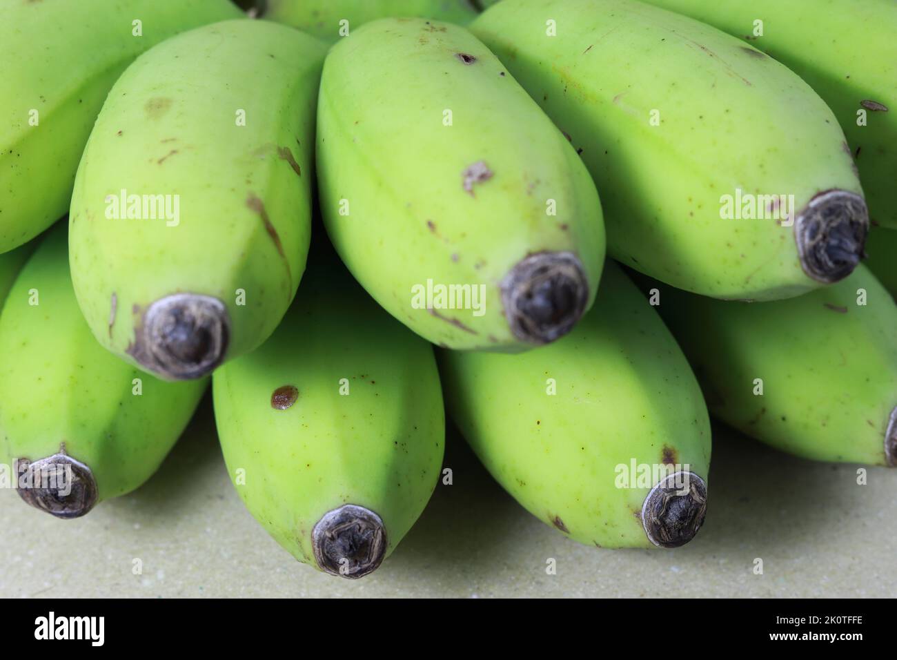 A bunch of unripe green bananas isolated on white background Stock ...