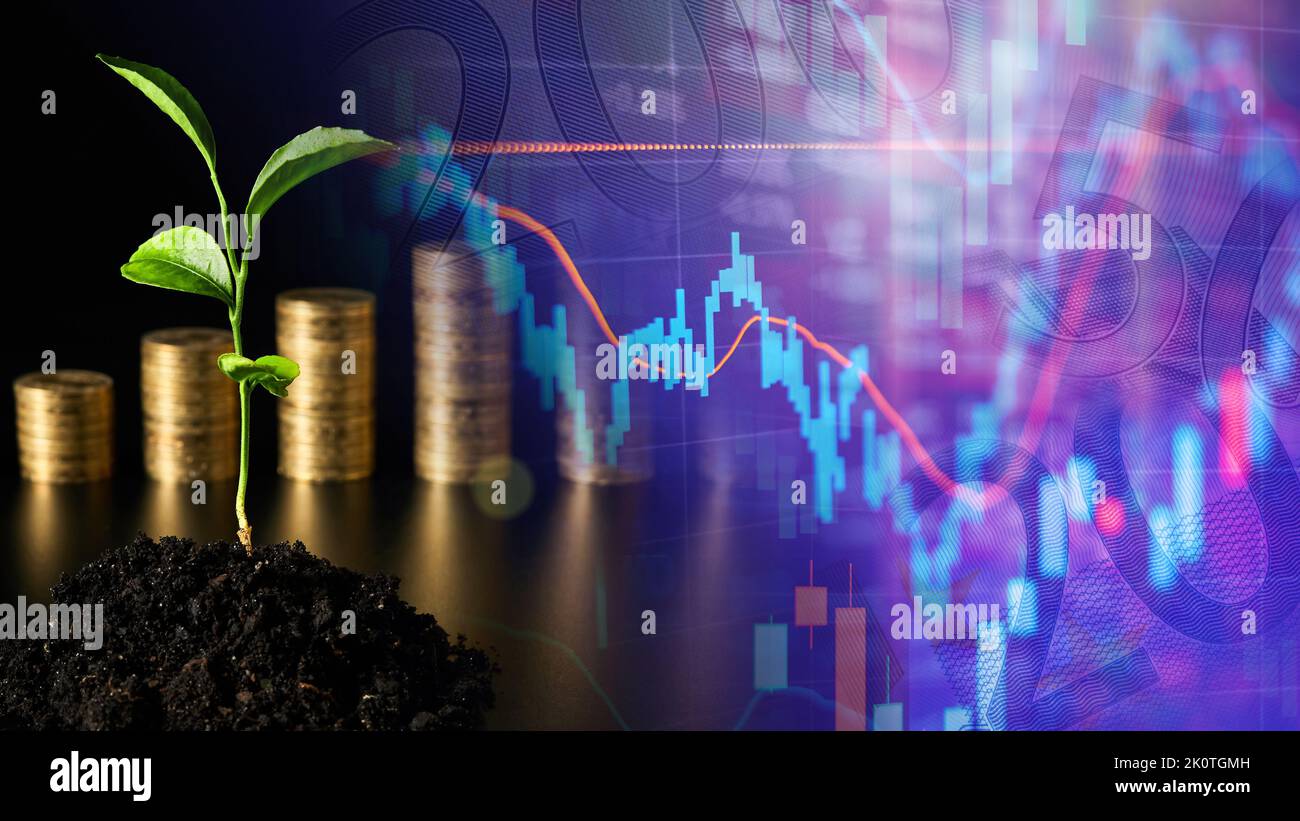 Tree charts hi-res stock photography and images - Alamy