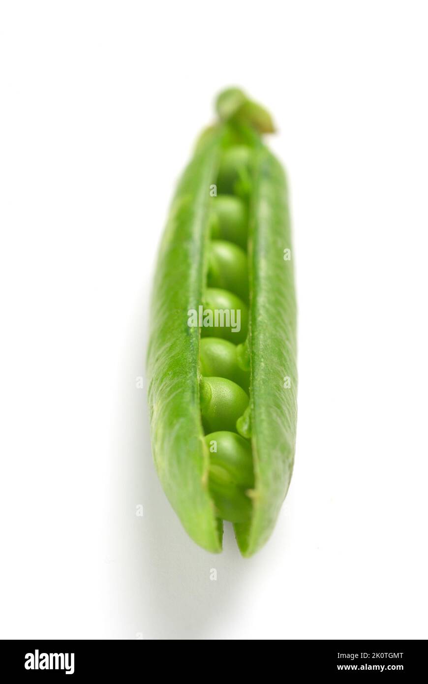 Single pea pod opened on white background cut out Stock Photo - Alamy