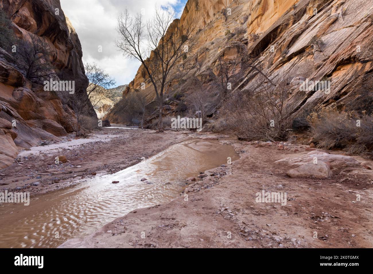 Hackberry Creek flowing toward the mouth of Hackberry Canyon. Grand ...