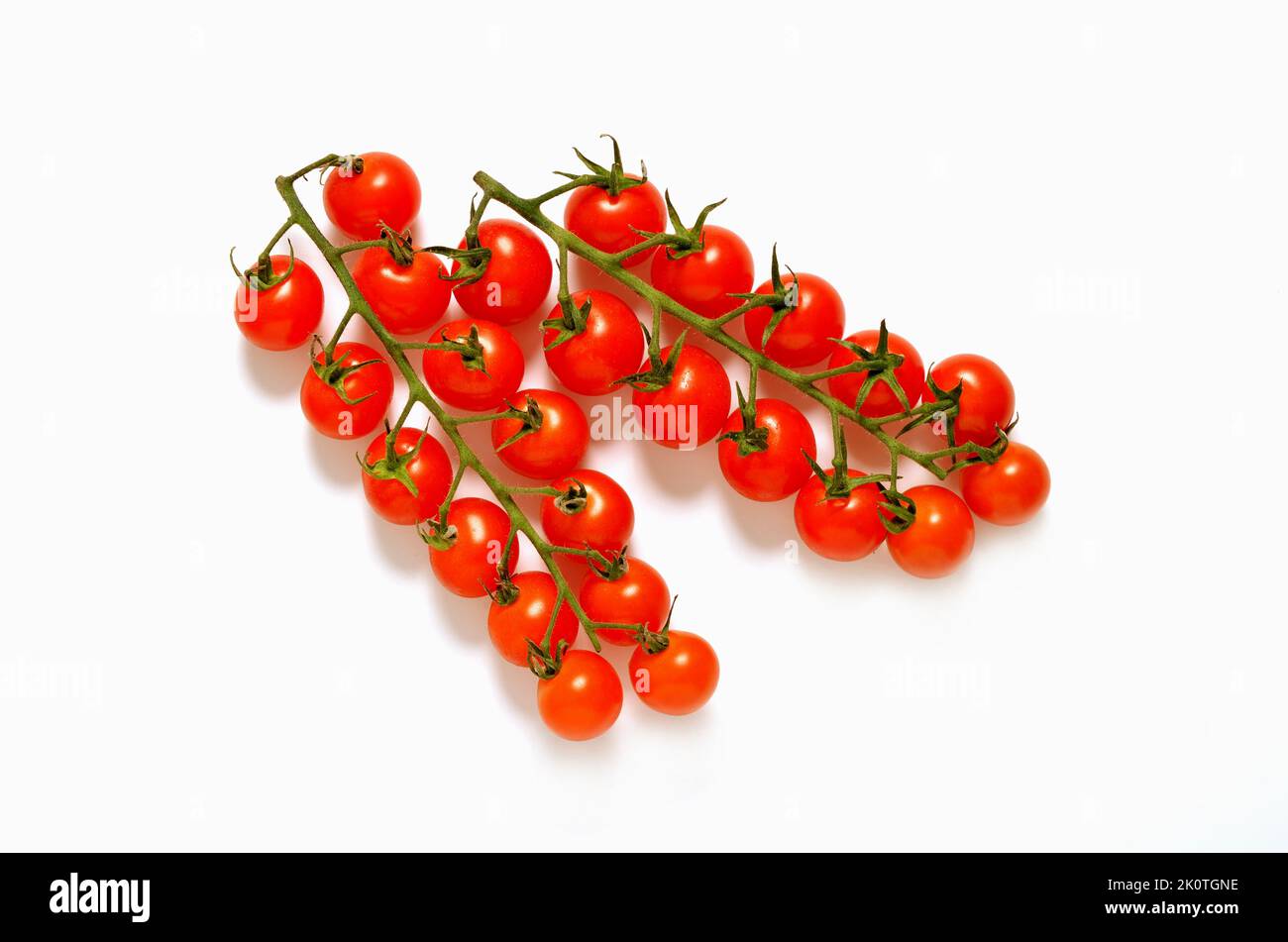 Piccolo tomatoes vines from above isolated on white background cut out ...