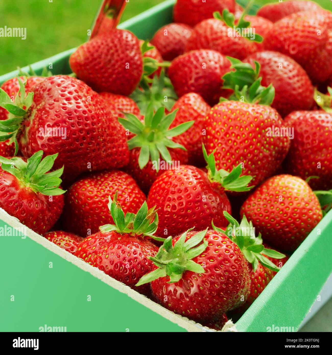 A basket of freshly picked strawberries Stock Photo - Alamy