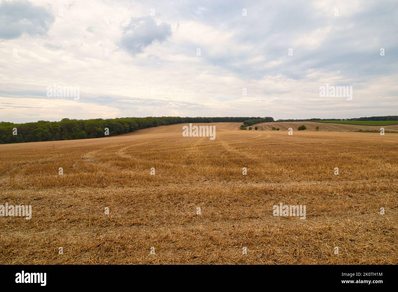 A stubble field, latter summer cloudy day. Moravia region Stock Photo ...