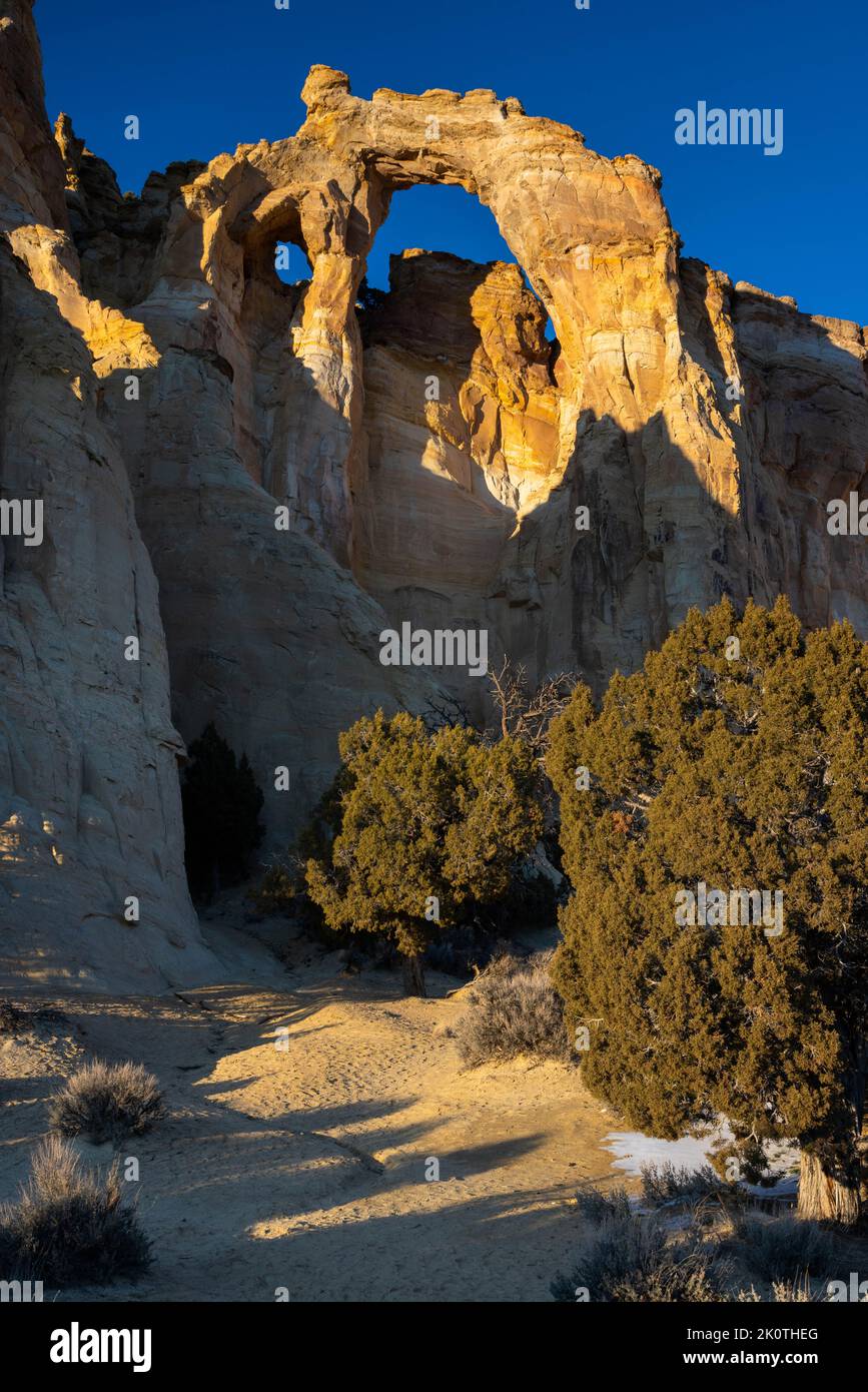 Grosvenor Arch rising high above a makeshift path along juniper trees ...