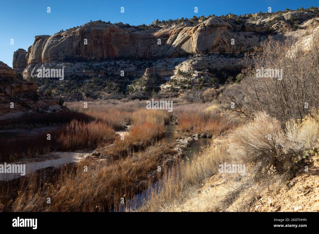 Calf Creek winding through large sandstone canyon walls below the Lower ...