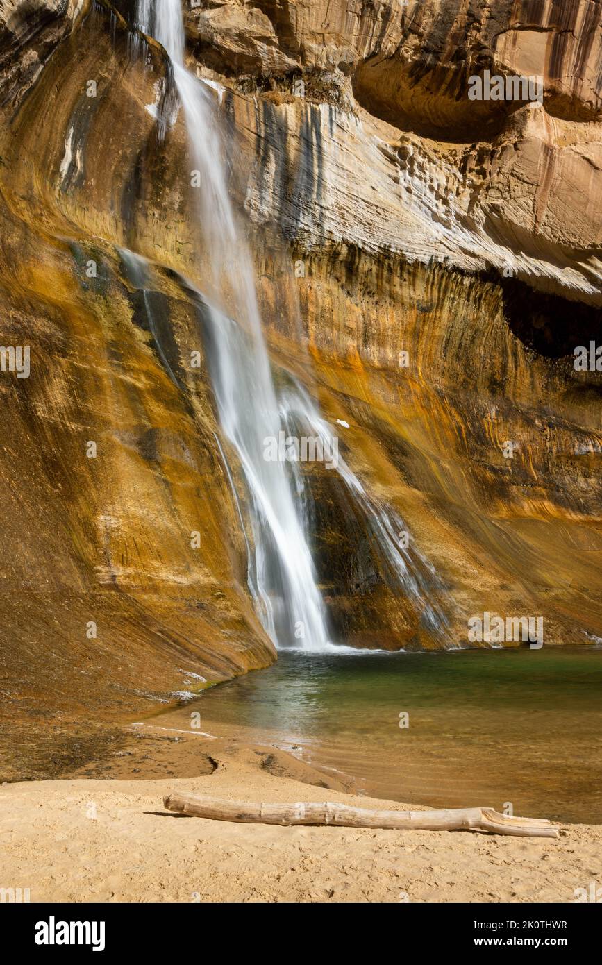 A log resting on a sandy shore along the pool below Lower Calf Creek ...