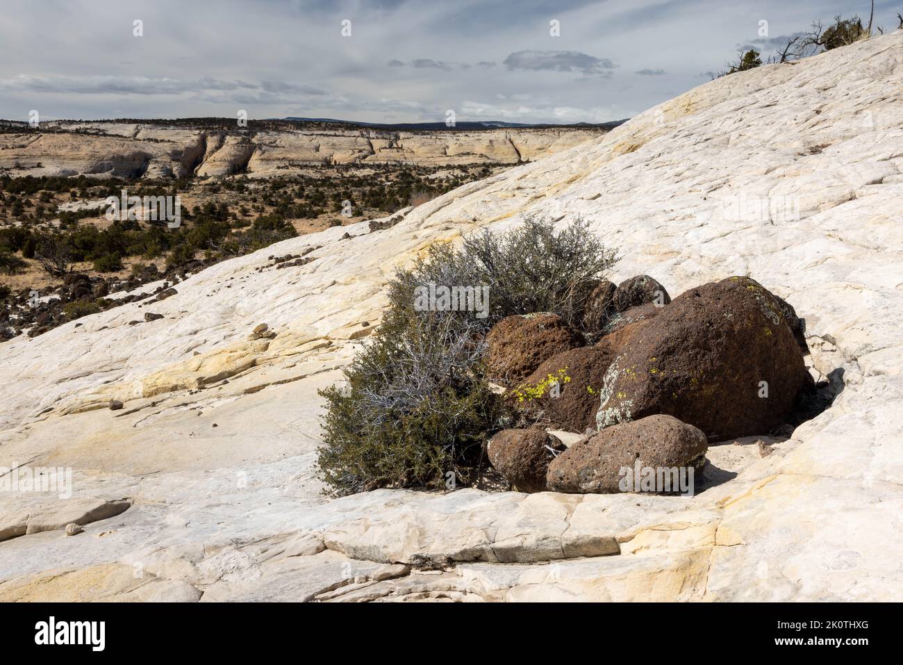 Lava rocks clustered together on the Navajo sandstone slickrock along ...