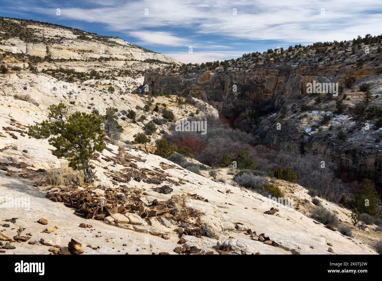 Navajo sandstone slickrock dropping down toward Calf Creek Canyon ...