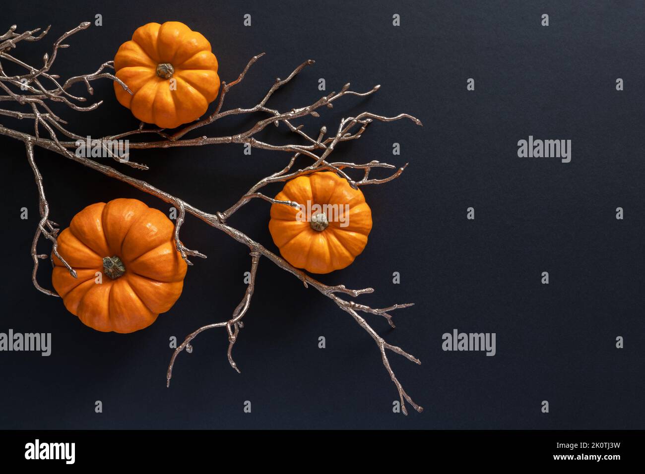 Autumn composition of pumpkin and decorative twig on black background ...