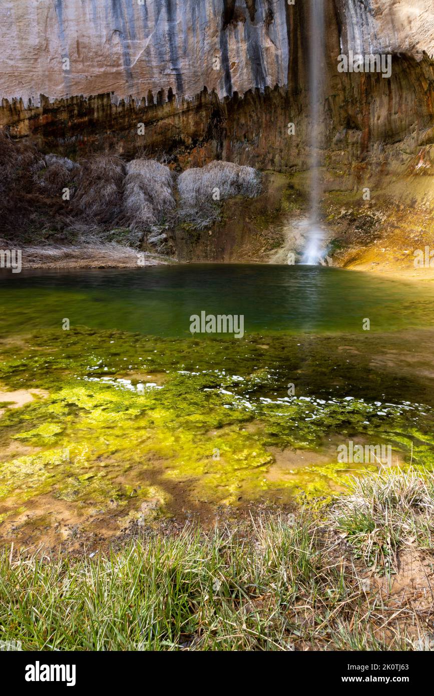 The blue-green waters of the pool below Upper Calf Creek Falls ...