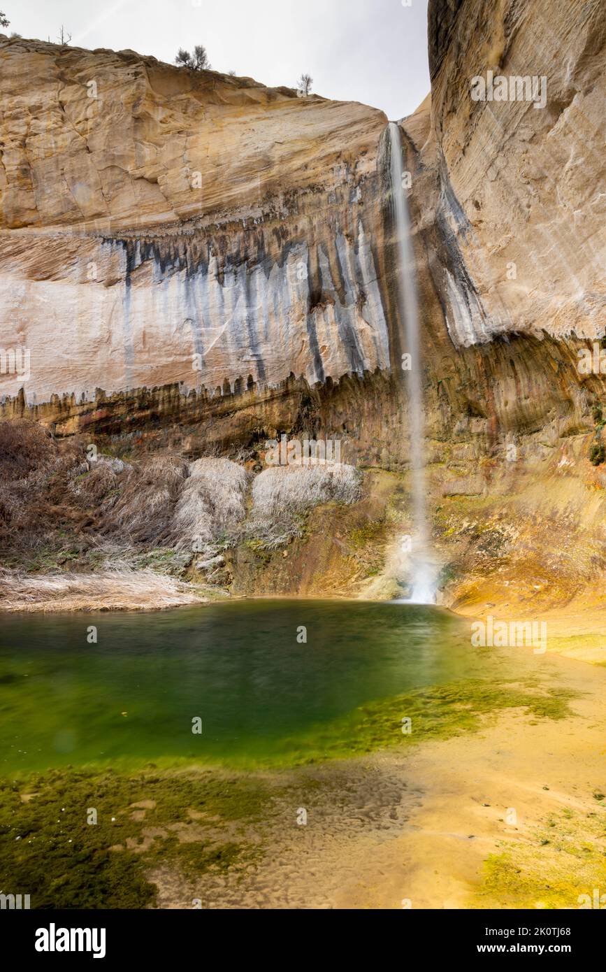 The colorful waters of Upper Calf Creek Falls creating a blue-green ...