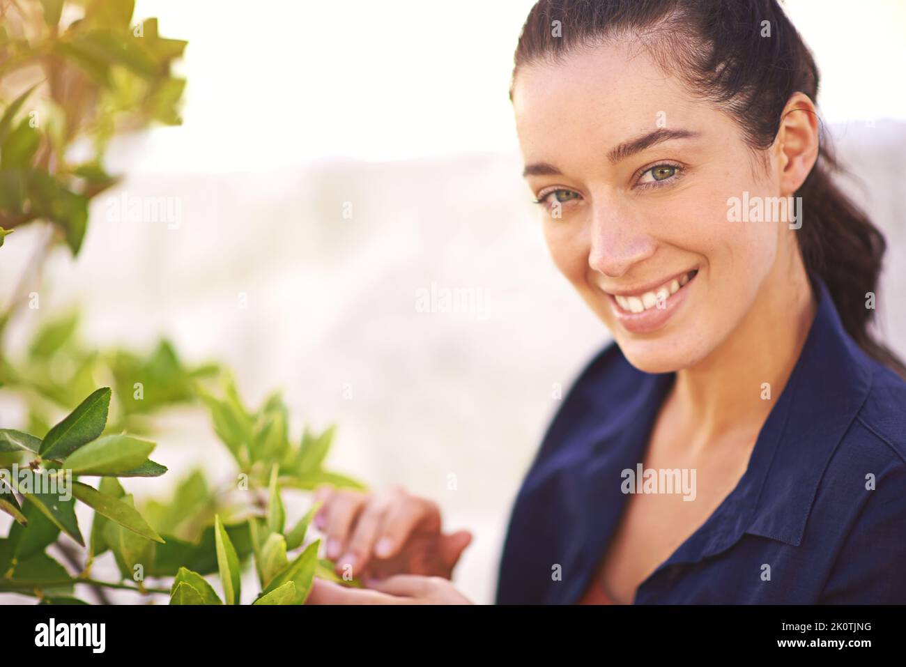 Inspecting tree hi-res stock photography and images - Alamy