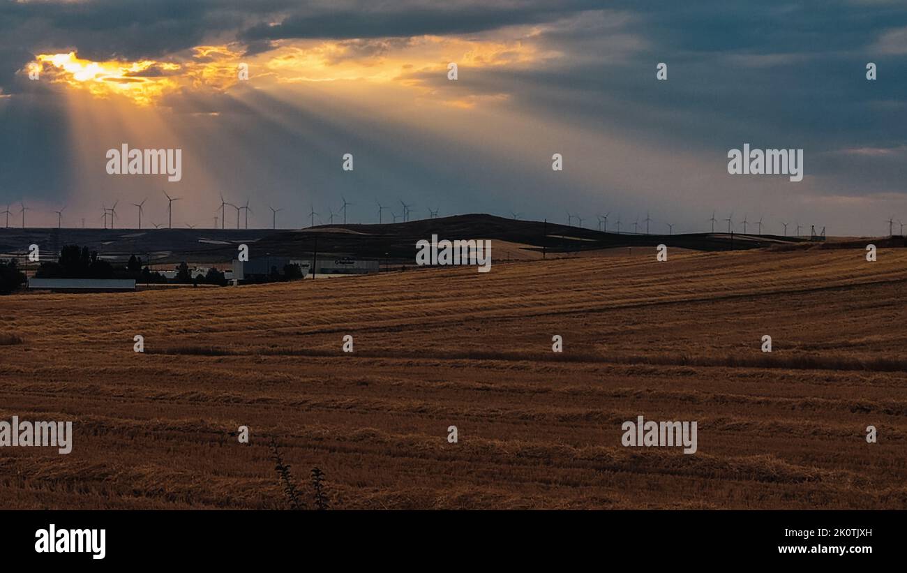 landscape of a mowed wheat field with windmill towers and wind turbines ...