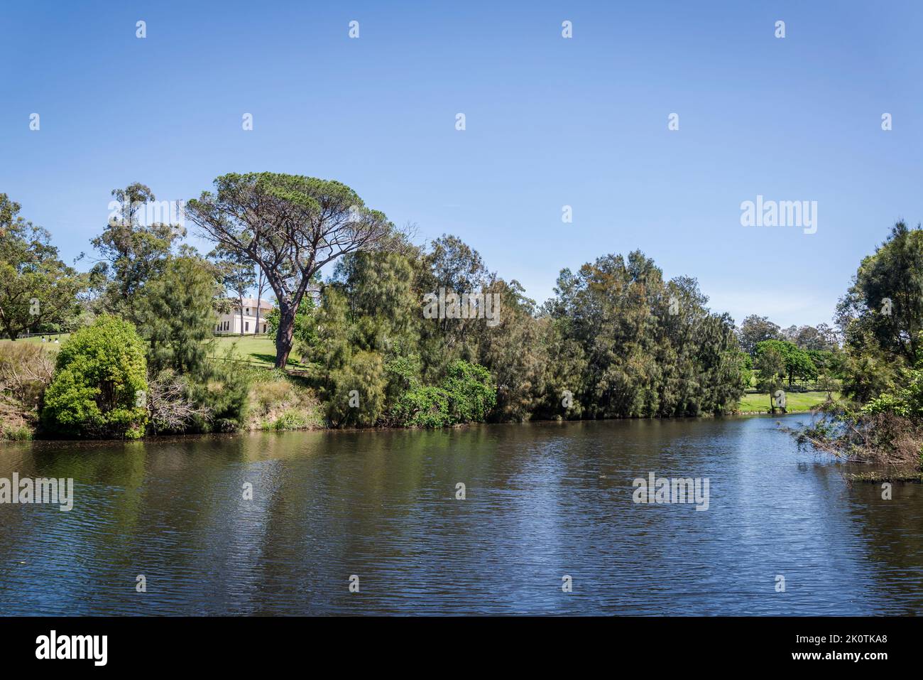 Parramatta river in the Parramatta Park and the Old Government House in ...
