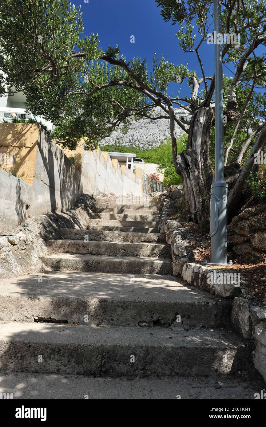 Vertical photo of narrow alley and stairs from the beach of Brela in ...