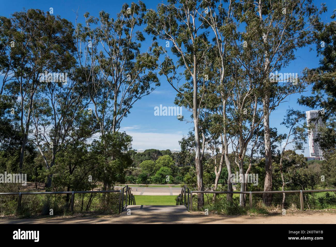 Parramatta Park in the western suburb of Parramatta, Sydney, Australia ...