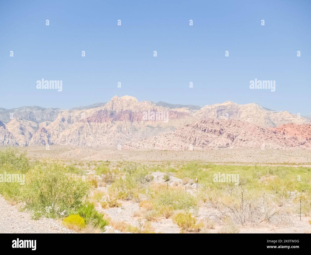 Expansive desert scene flat sandy earth with log green vegetation ...