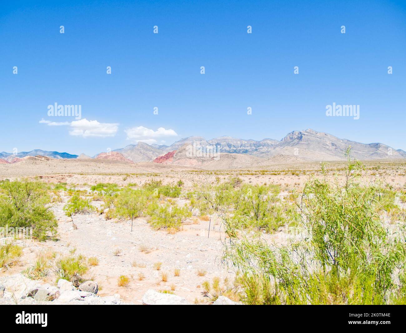 Expansive desert scene flat sandy earth with log green vegetation ...