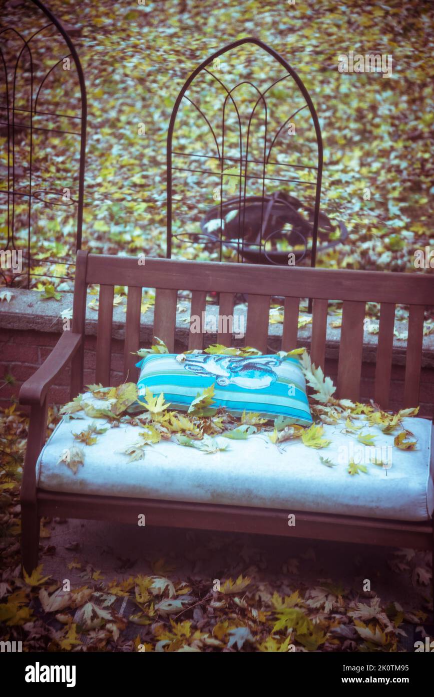 Back garden in rain, Columbus, Ohio, USA Stock Photo - Alamy